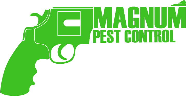 Pests – Magnum Pest Control